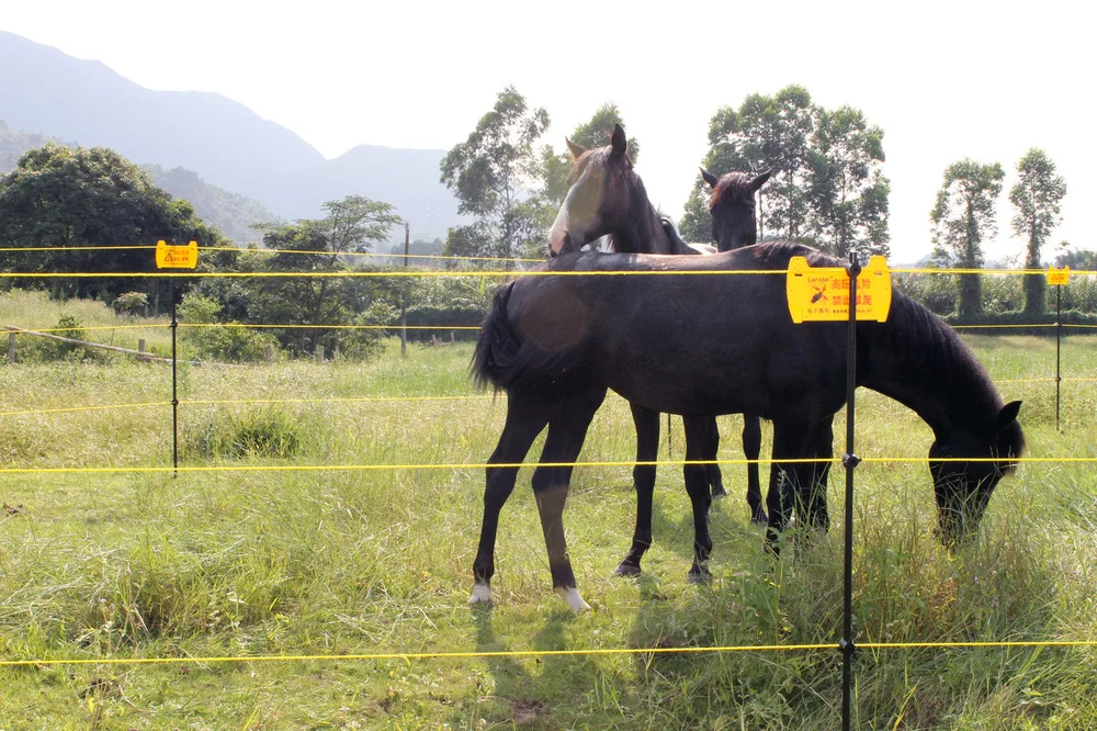 Professional Electric Fence For Livestock Farm Elephant Wolf Wild ...