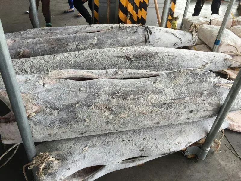 Marlin Fish Headess Gutted Frozen Oil Fish Hgt Blue Body Block Marline ...