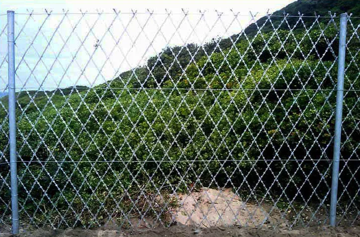 Razor Blade Wire Mesh Roll / Security Razor Blade Fence For House / Bto ...