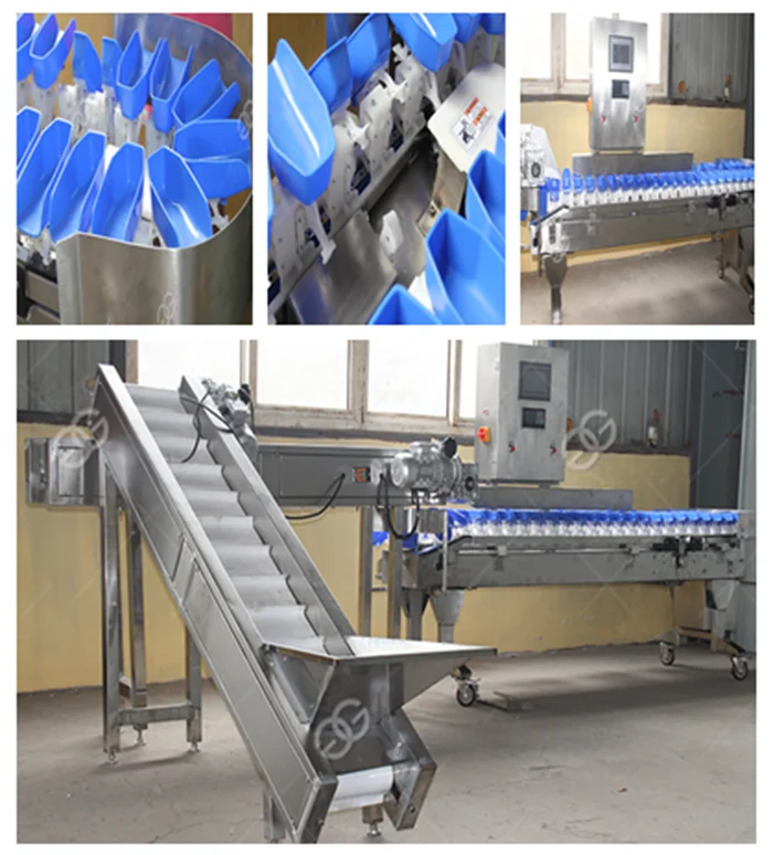 Pineapple Grading Machine - Efficient Sorting Solutions