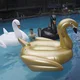 Inflatable Llama Pool Float Ride-on Water Toy - Buy Inflatable Llama ...