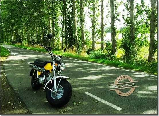 SKYTEAM 50cc T-REX RV90 - Euro2 Approved Beach Motorcycle