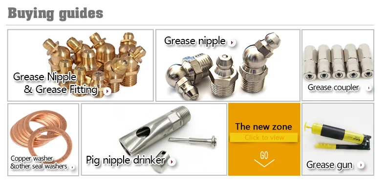 All Types Grease Nipples with Different Sizes / Zerk Fitting