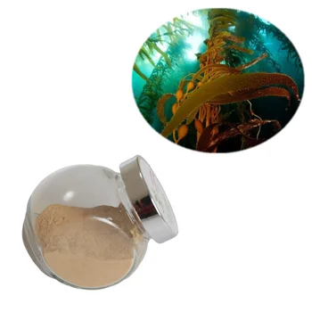 Brown Algae Extract Algal Polysaccharide Sulfate,Fucoidan - Buy ...