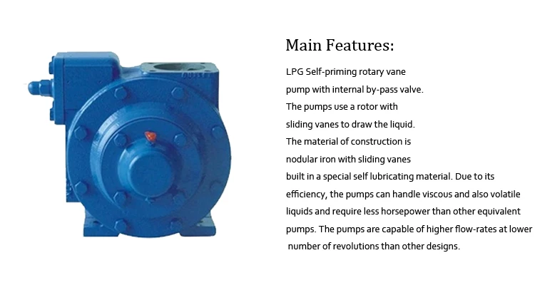 LPG Methane Gas Pump - Efficient & Reliable Solutions