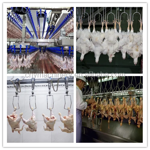 High Quality Stainless Steel Poultry Slaughterhouse Line Used For ...