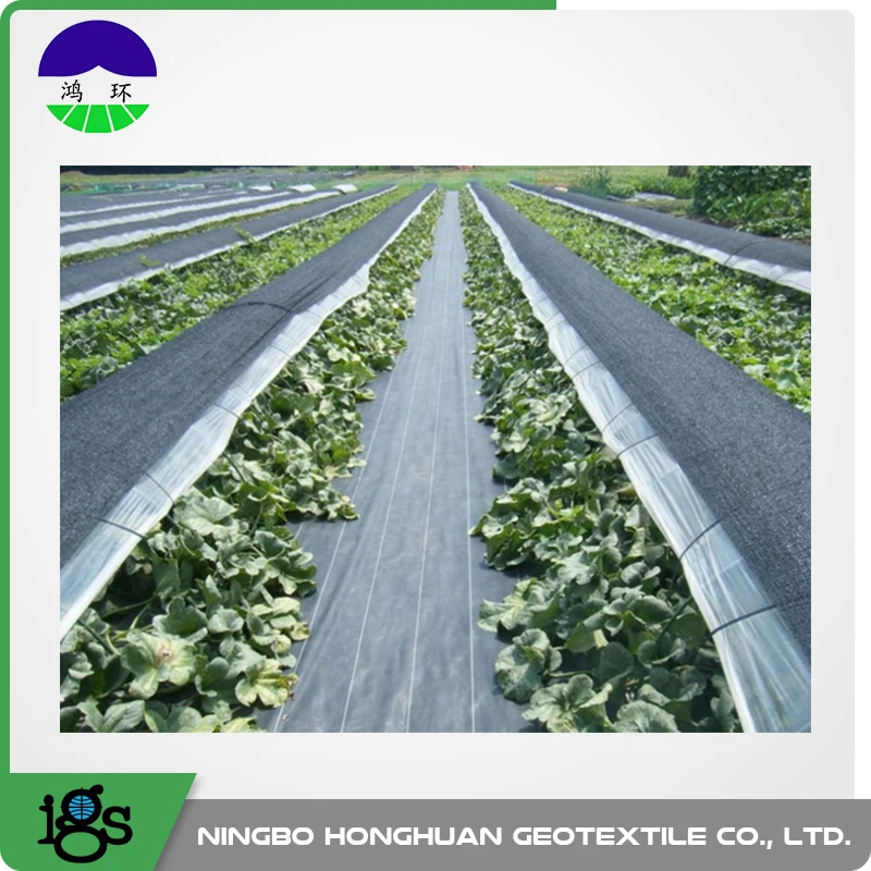 Woven Needle Punched Geotextile - Eco-Friendly Reinforcement