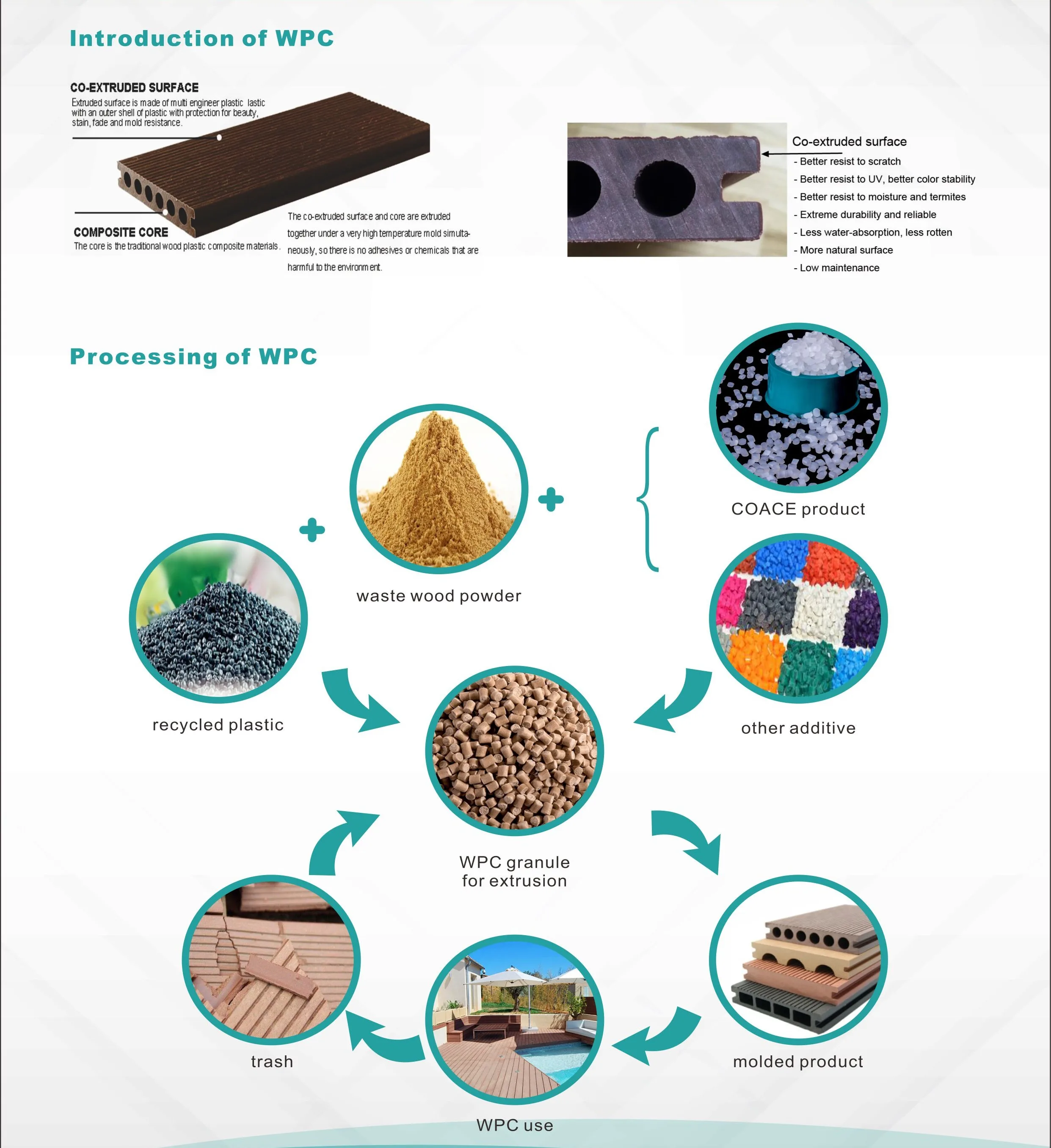 Ethylene Propylene Co-polymer Grafted Maleic Anhydride Based ...