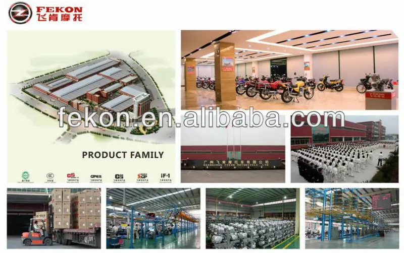 Fekon 150cc GN Gasoline Motorcycle - Reliable Performance