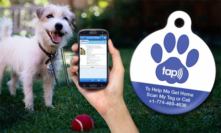 Custom Pet Rescue Qr Code Ntag213 Ntag215 Smart Epoxy Nfc Tag Rfid ...