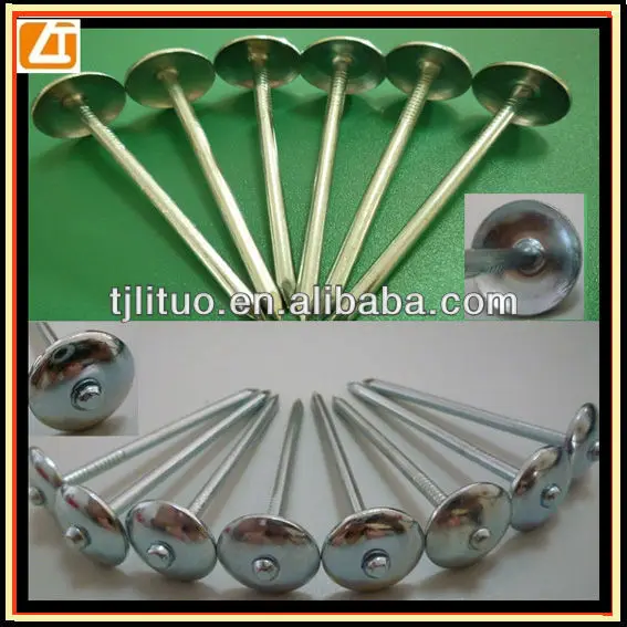 Umbrella Roofing Nails Price per Kg Iron - Wholesale Supplies