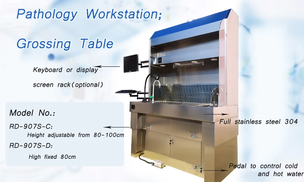 Laboratory Bench Laboratory Bench Grossing Station - Buy Grossing ...
