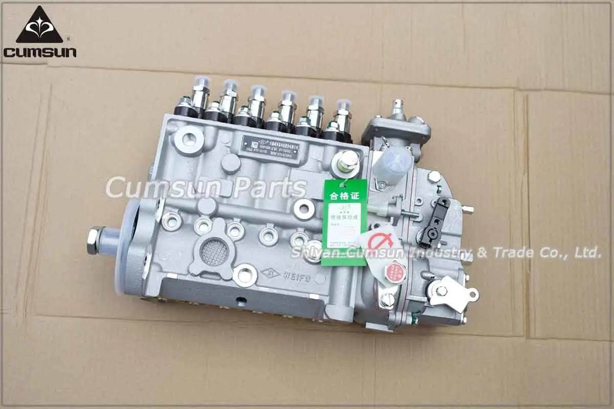 Machinery Engine Fuel Injection Pump 3973900 For Cummins 6ct8.3 Engine ...