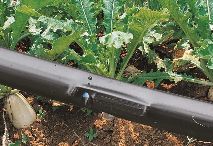 1 Hectare Drip Irrigation System - Efficient Agricultural Irrigation