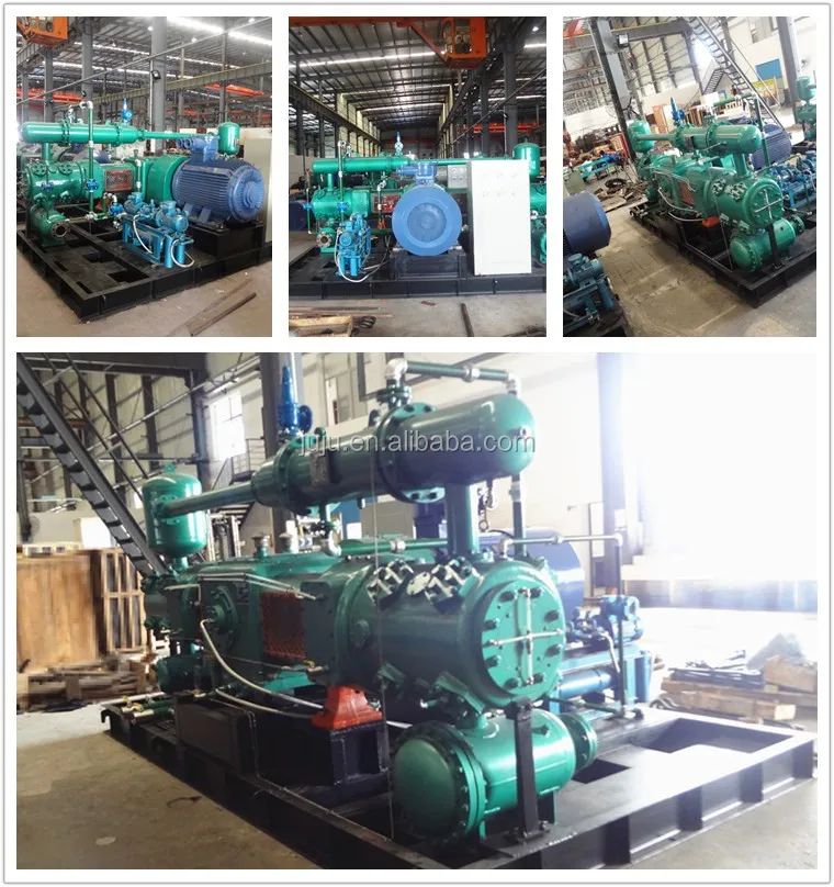 Air Cooled Reciprocating BioGas Compressor Vehicle Cylinder Filling ...