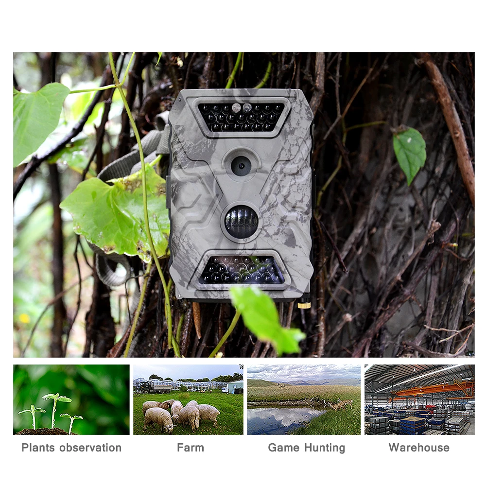 Best Top Rated Infrared Animal Surveillance Trail Photo Trap Mms 4g ...