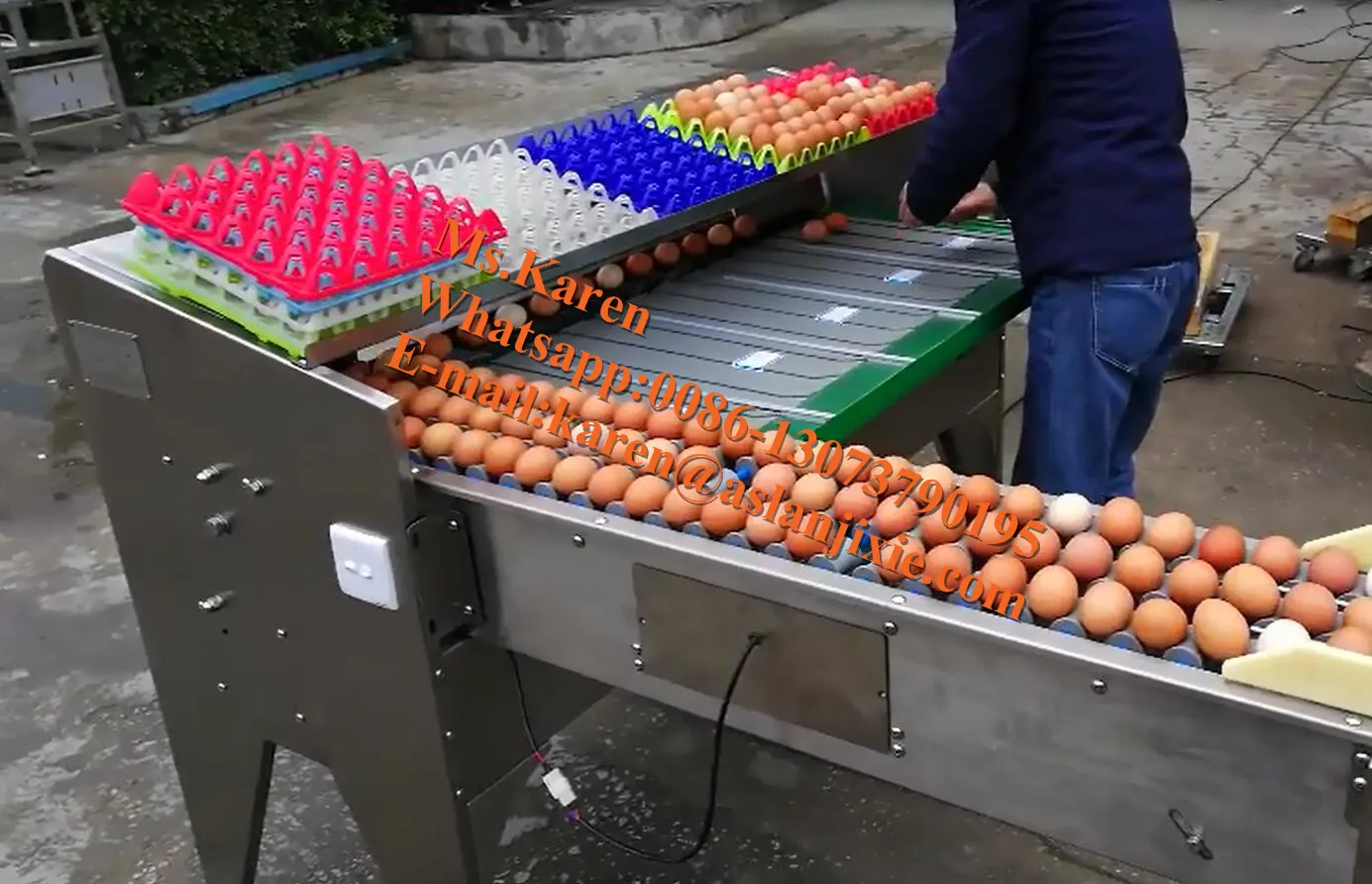 New Egg Weight Grader With Egg Lifter / Egg Grading Machine With Vacuum ...