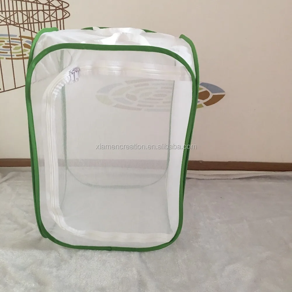 Folded Green Acrylic Mesh Insect Screen Cage - Eco-friendly