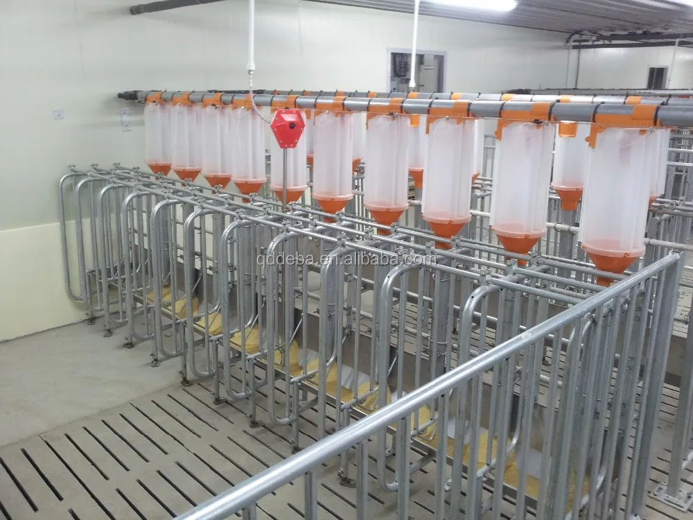 Auto Feeding System for Pigs New Plastic Livestock Automatic Feeder for ...