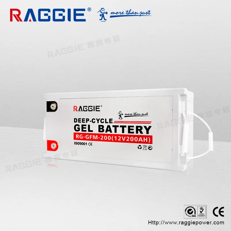 RAGGIE 200Ah Gel Lead Acid Battery - Sealed 12V Solar Battery for Solar ...