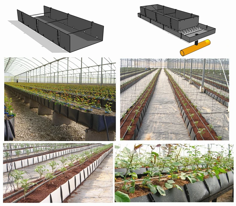 Hydroponic Planting Troughs - Efficient Greenhouse Solutions
