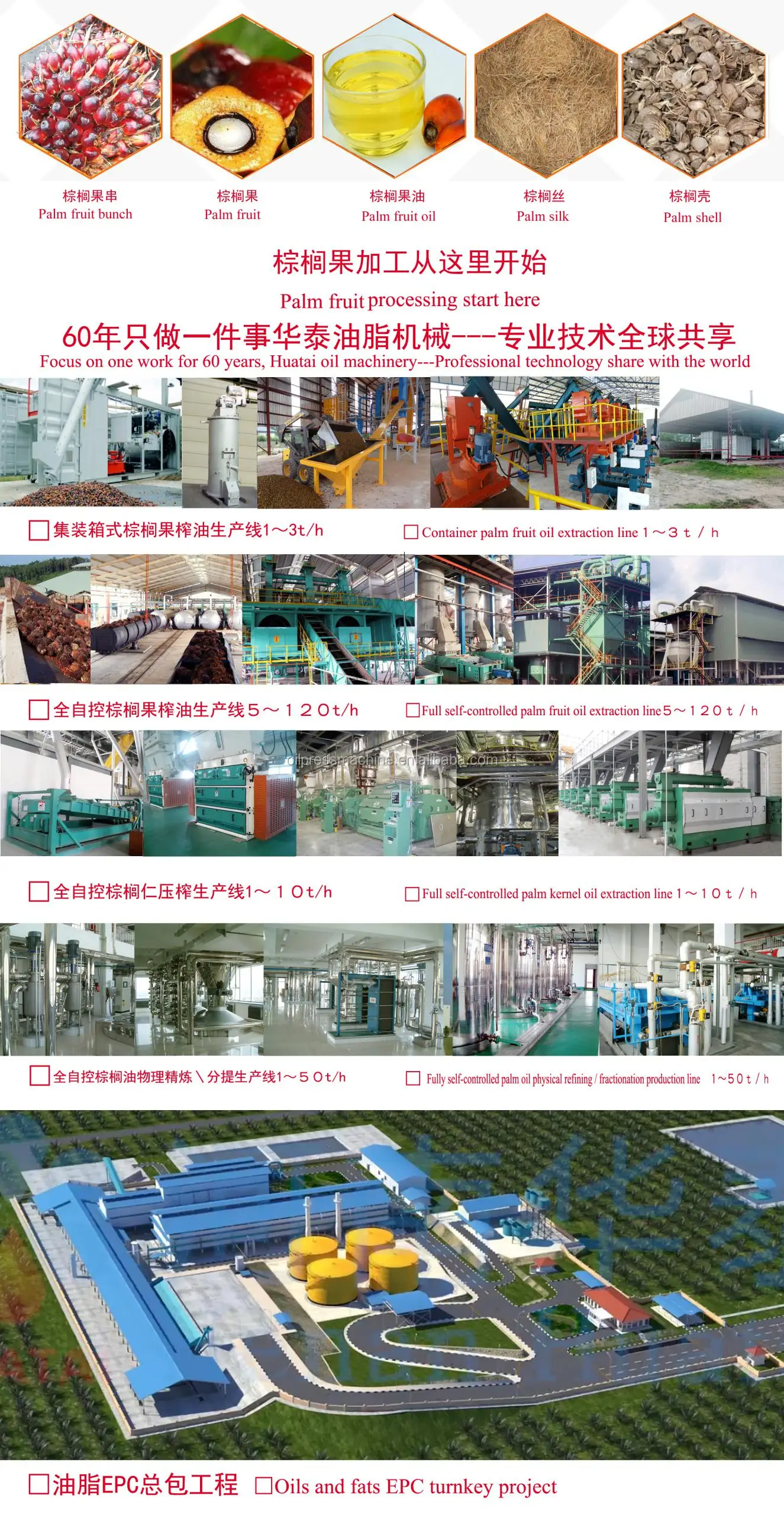 Palm Oil Production Line - Efficient and Reliable Solutions