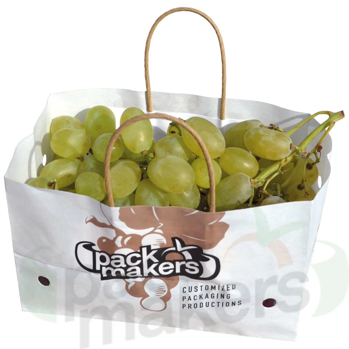 Wet Strength Kraft Paper Bags with Ventilation for Fruits