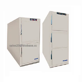 2-body Dead Body Refrigerator Morgue Freezer (cadaver Cold Storage ...