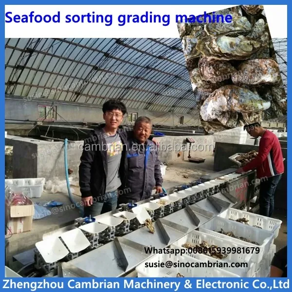 5 Levels Shrimp Grading Machine Crayfish Sorter With Rotation Roller ...