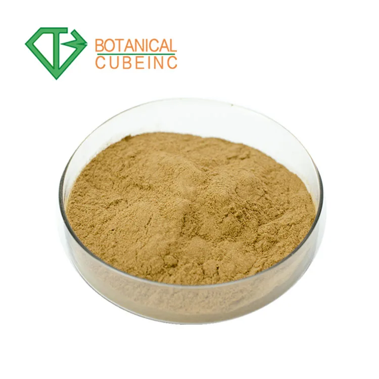 High Quality Corn Silk Extract Powder - GMP Product