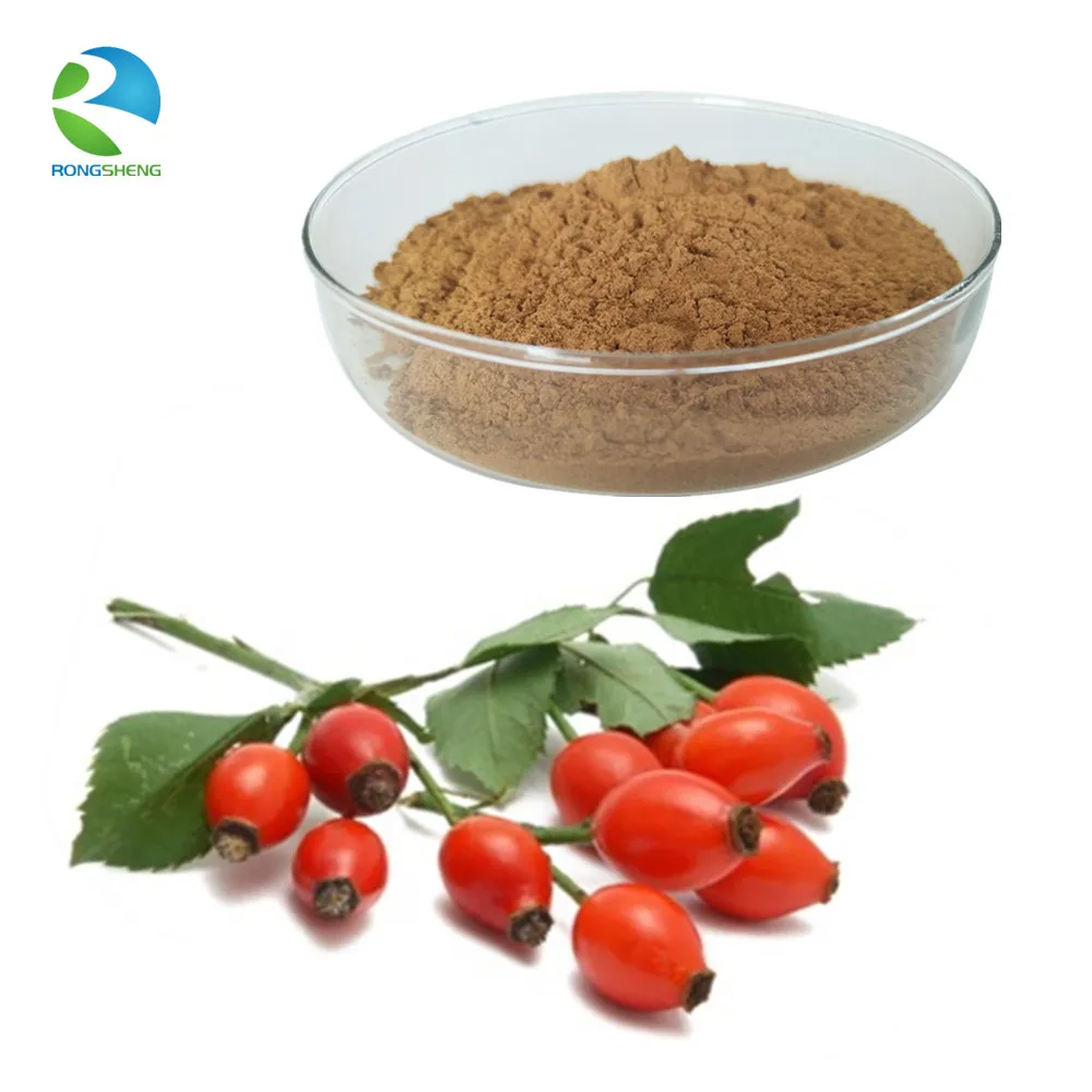 Best Quality Natural Rose Hip Fruit Extract Powder - Buy Rose Hip Fruit ...