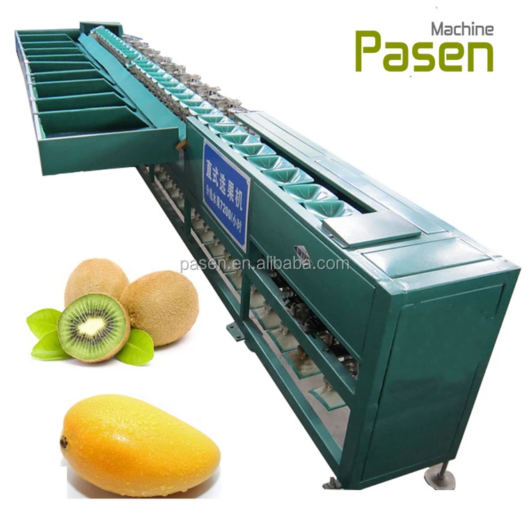 Fruit Weight Sorting Machine - Efficient & Reliable Solutions