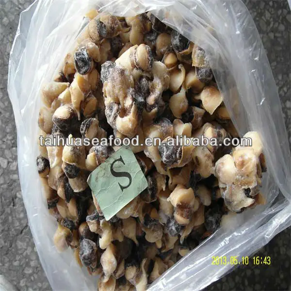 Frozen Cooked Conch Meat For Sale - Buy Conch Meat For Sale,Iqf Conch ...