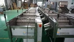 Automatic Vegetable Ginger Papaya Grater Machine