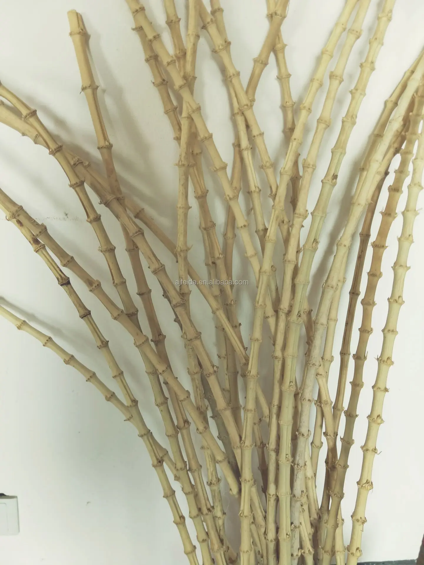 Natural Bamboo Root - Buy Natural Bamboo Root,Bamboo Root Bamboo Cane ...