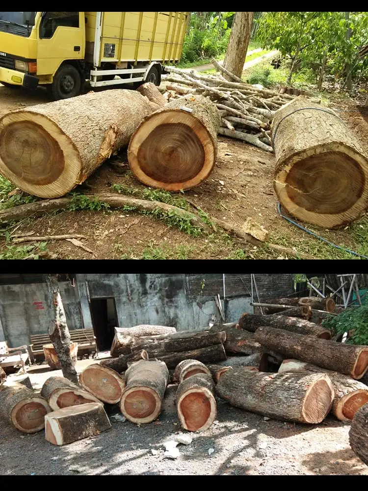 Raintree Unfinished Hardwood,Indonesian Imports Of Temperate Sawnwood ...