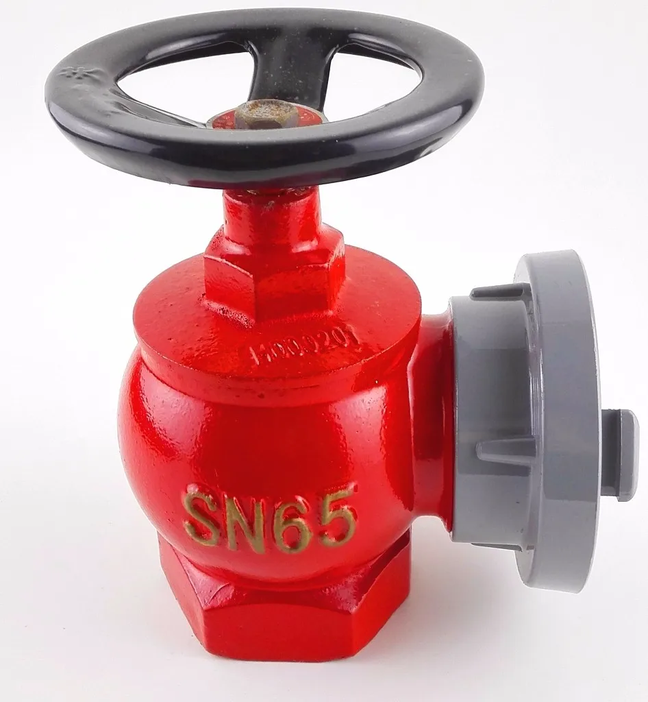 2 1/2 Inch Double-Outlet Fire Hydrant Valve SNSS65 for Export