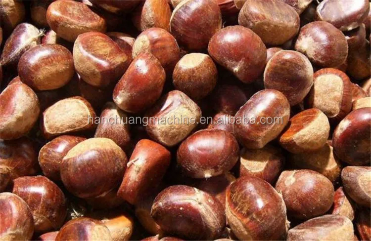 Chinese Chestnut Sheller - Efficient & Reliable Machine