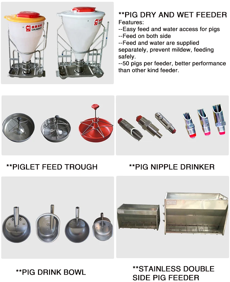 Pig Feeding And Farming Equipment Line System - Buy Pig House Feeding ...