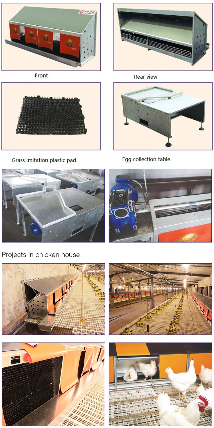 Goldenest Automatic Nest Boxes for Laying Breeder Chickens