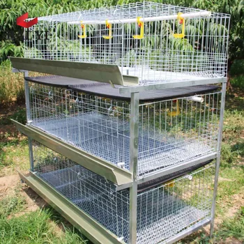 Best Sale Day Old Chicken Cage,Baby Chicks,Brooder Cage - Buy High ...