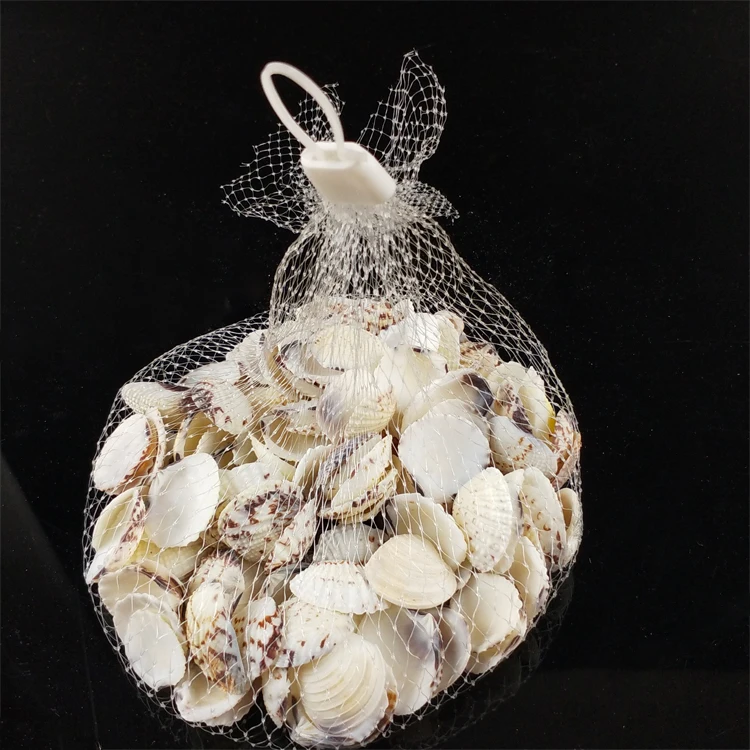 Bolsa de red de 200g, conchas marinas naturales a granel, venta al por mayor| Alibaba.com