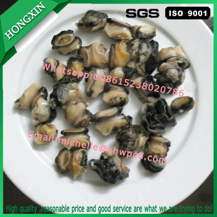 Snail Shell And Meat Separator,Snail Processing Machine,Snail Meat ...