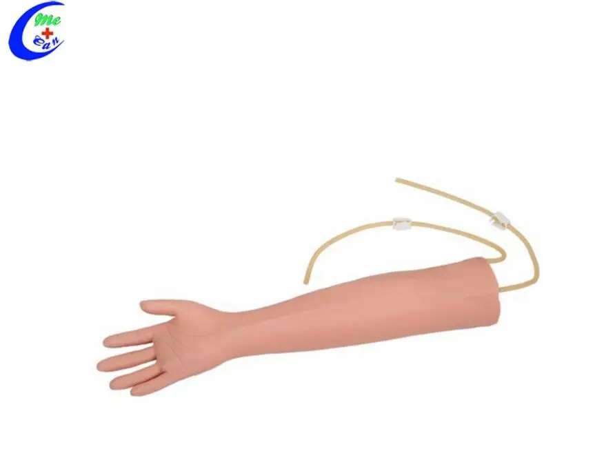 Human Patient Simulator Venipuncture and Injection Training Manikin