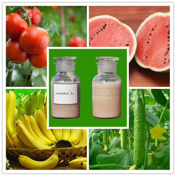 High Effective Accelerate Ripening Chemical 90%tc Ethephon 2 ...