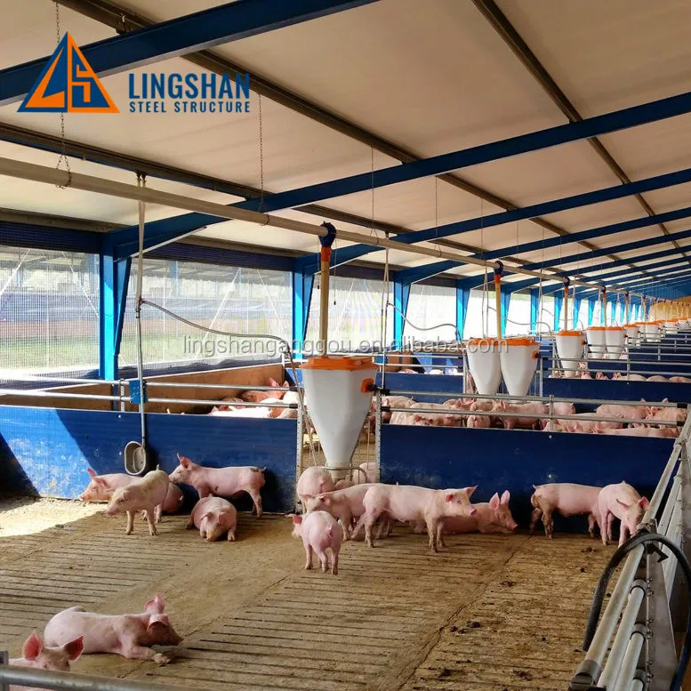 Hot Galvanizing Steel Structure Prefabricated Pig Farm House ...