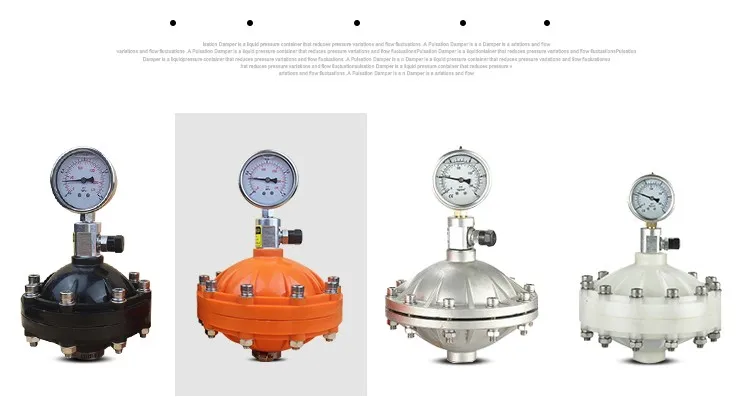 Diaphragm Type Water Pump Pressure Regulator - Reliable & Durable