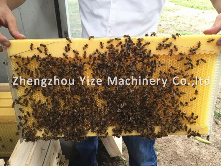 Plastic Beehive - Durable Frames for Efficient Beekeeping