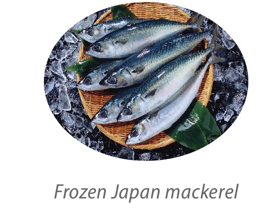 Frozen Japanese Yellowtail Whole Round - Buy Whole Round Frozen ...