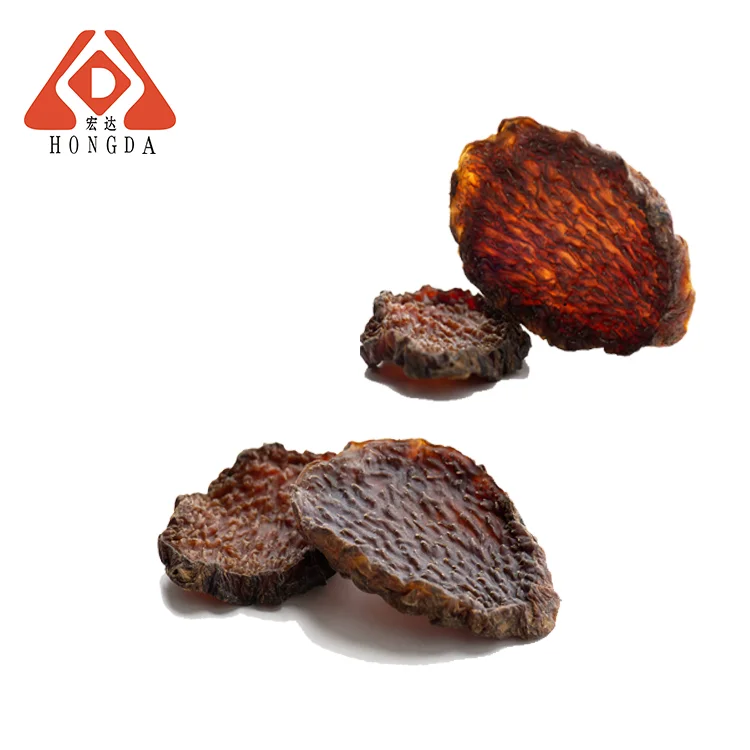 Hongda Factory Supply Organic Cistanche Extract Cistanche Tubulosa ...